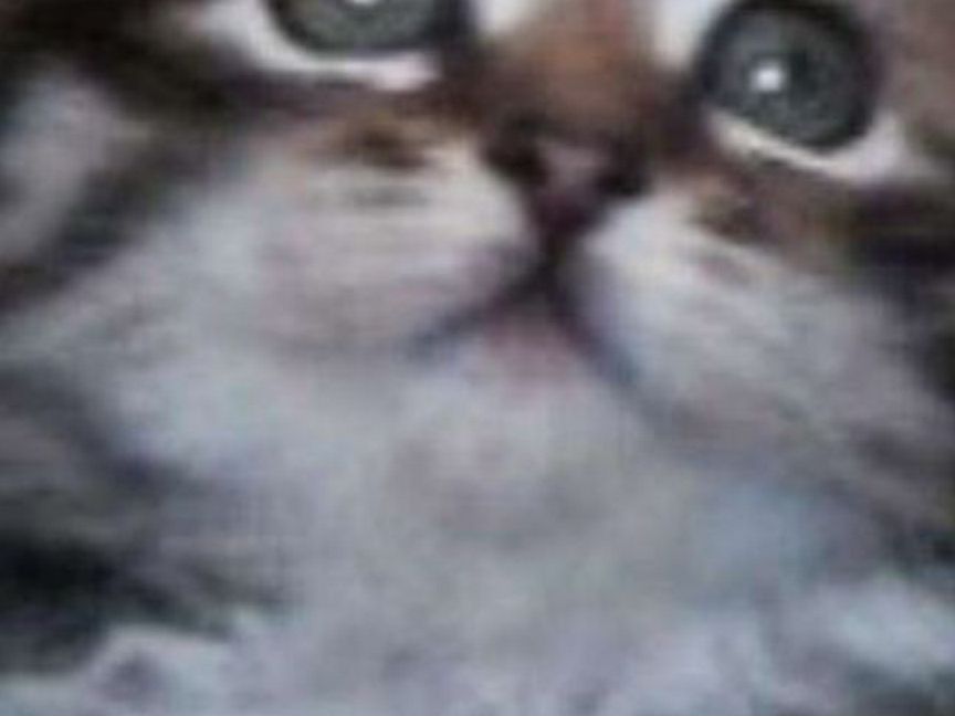 Сибирская дымка