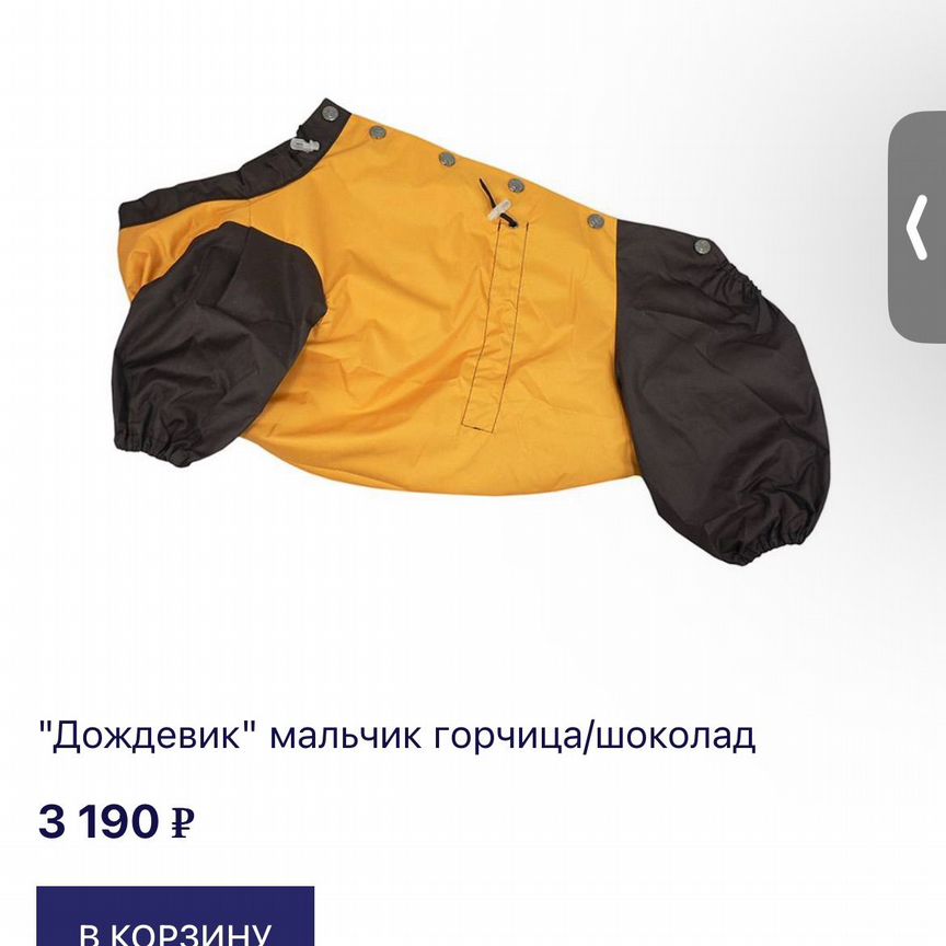 Комбинезон для корги мальчика