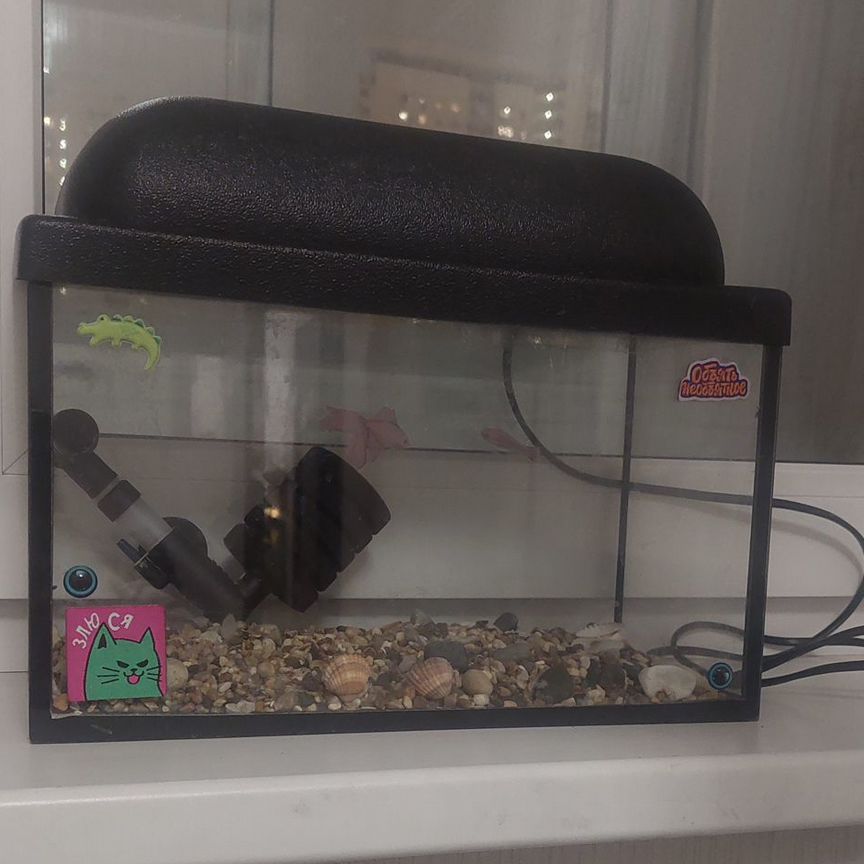 Аквариум для рыбок или черепашек