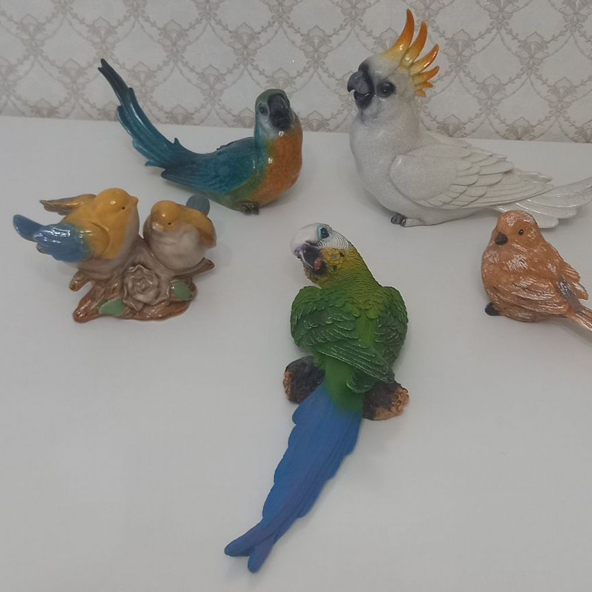 Попугаи все за одну цену