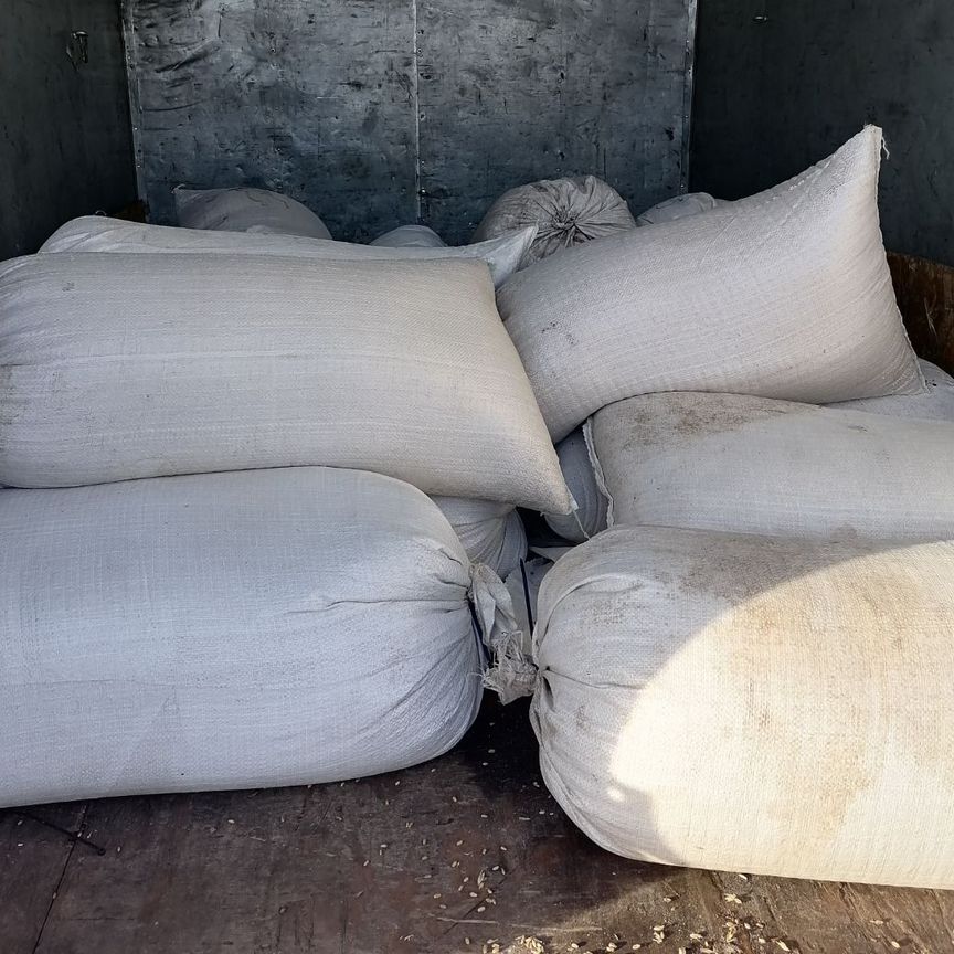 Пшеница в мешках