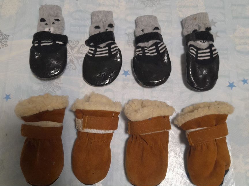 Обувь на маленькие лапки