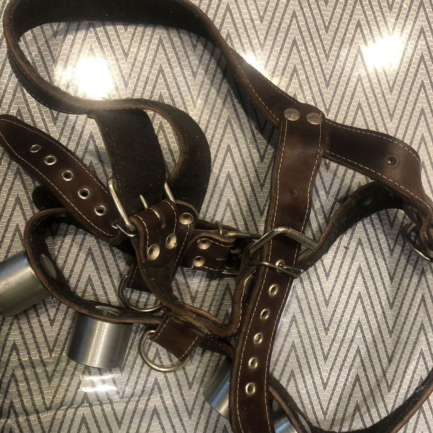 Шлейка с утяжелителем для собаки