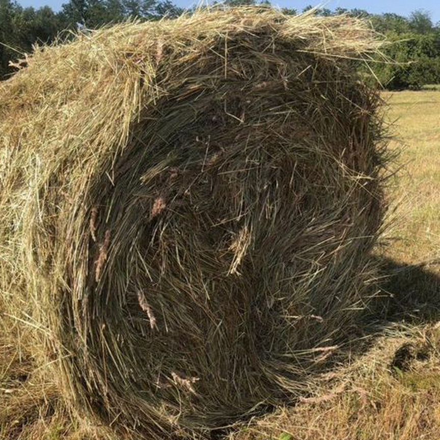 Сено в рулонах