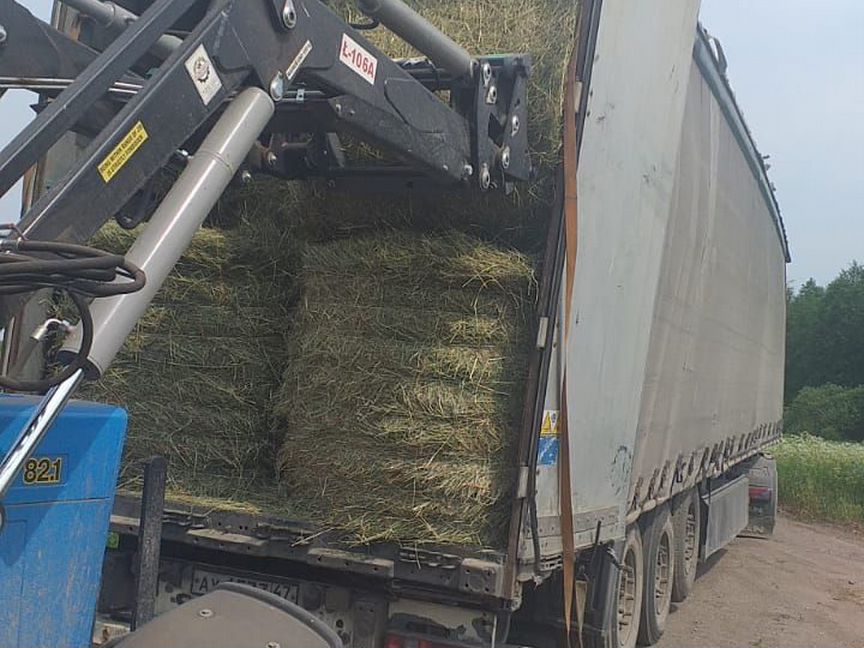 Сено опт в рулонах, цена включая доставку