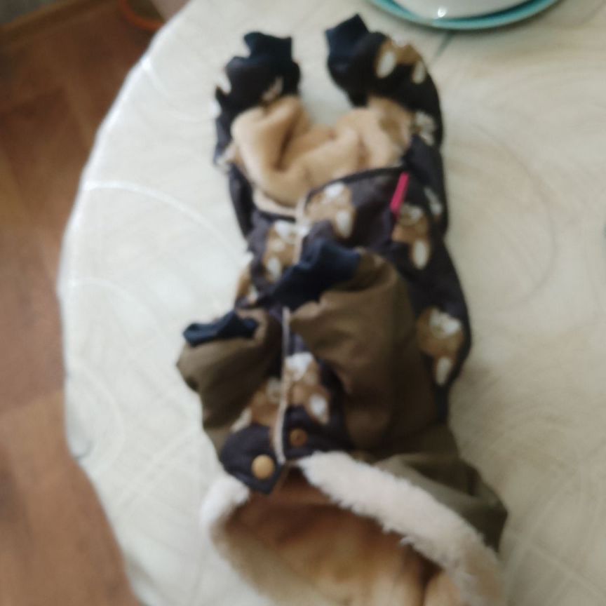 Одежда для собачки бу