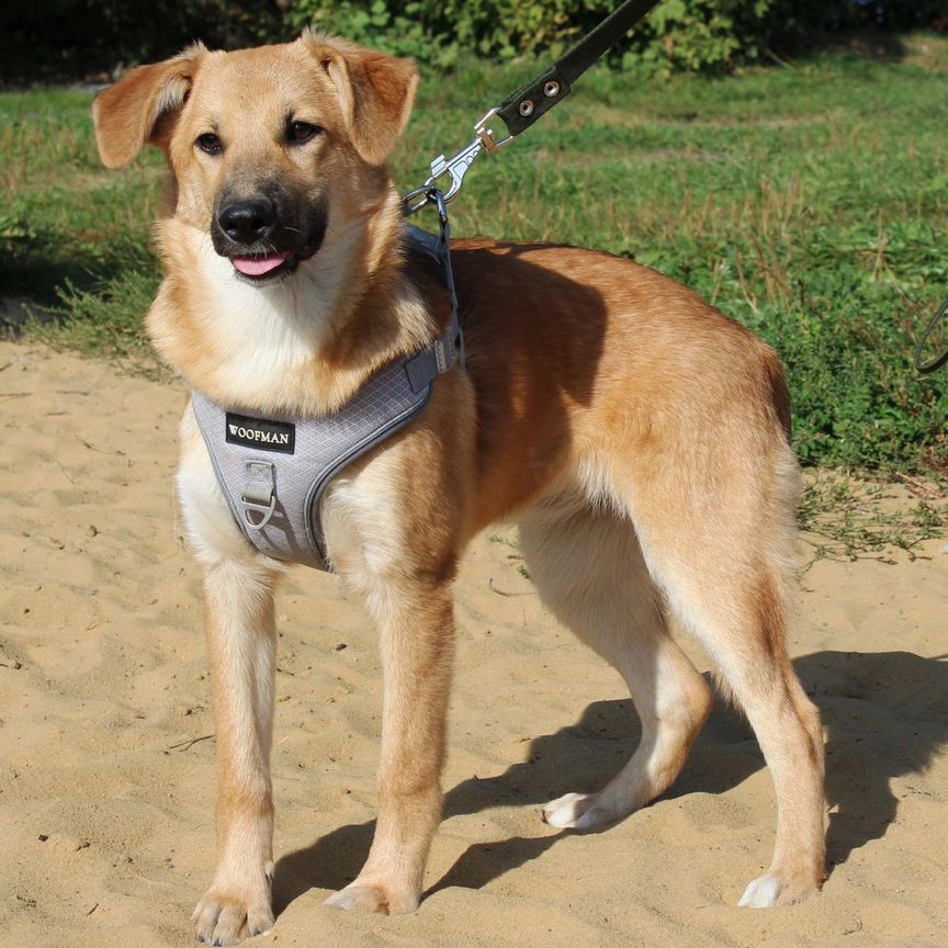 Дженни мечтает о семье