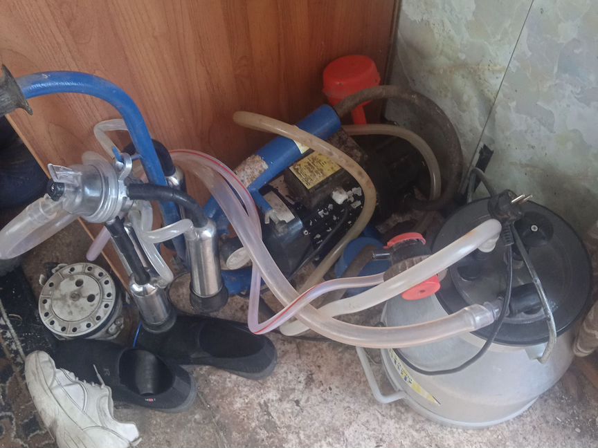 Доильный аппарат для коров бу