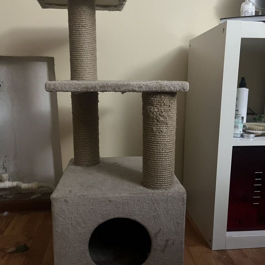 Когтеточка бу