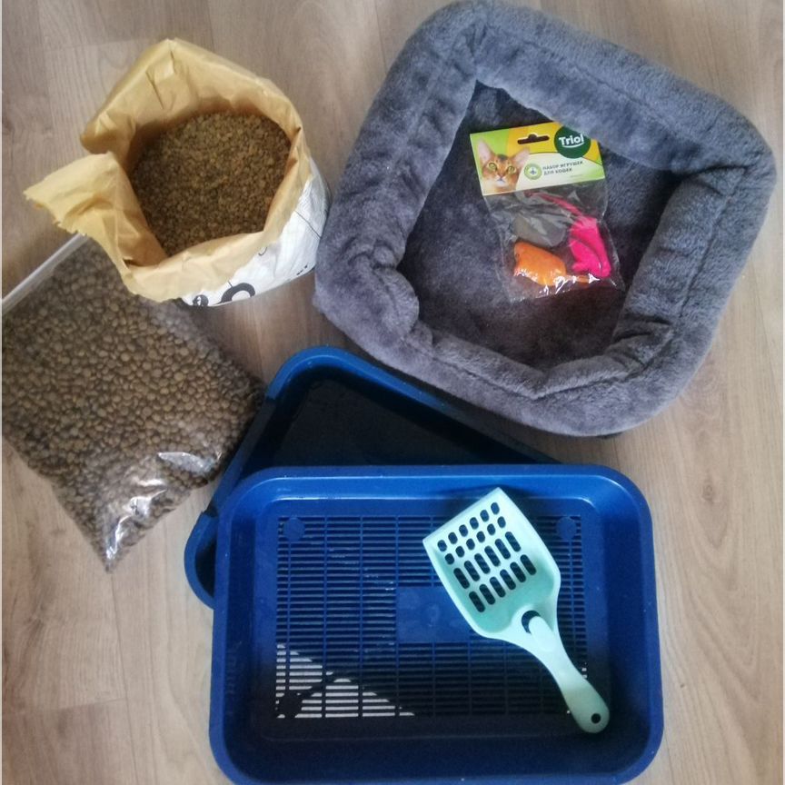 Набор для котика корм, лежанка, лоток, наполнитель