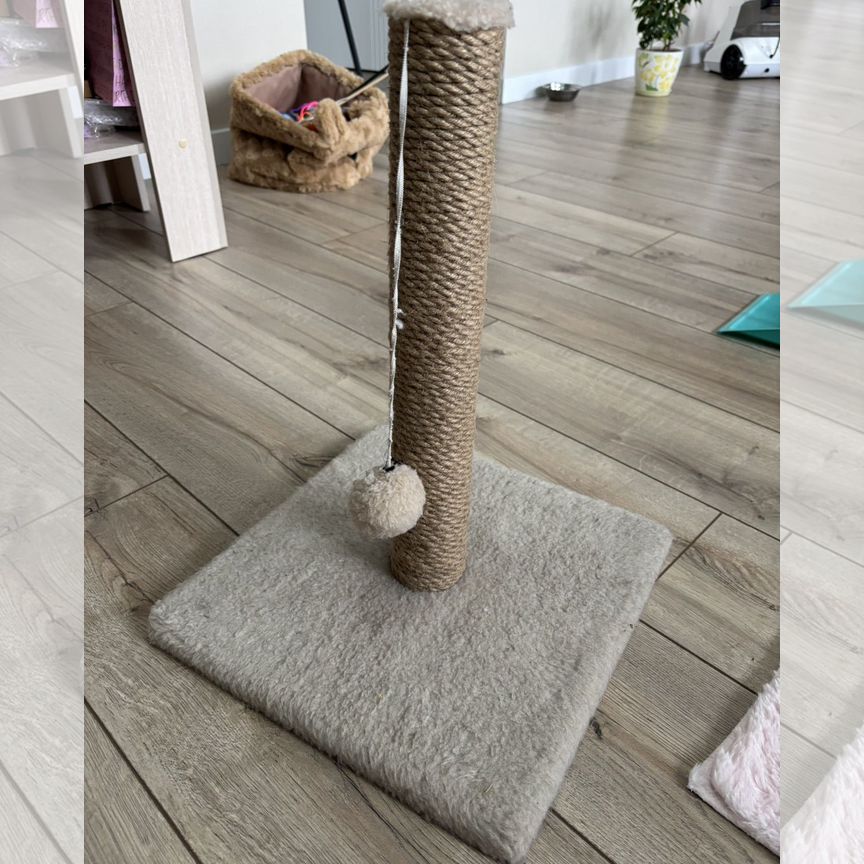 Когтеточка