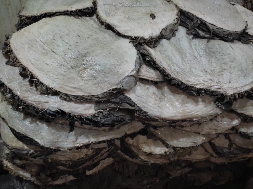 Книжки говяжьи
