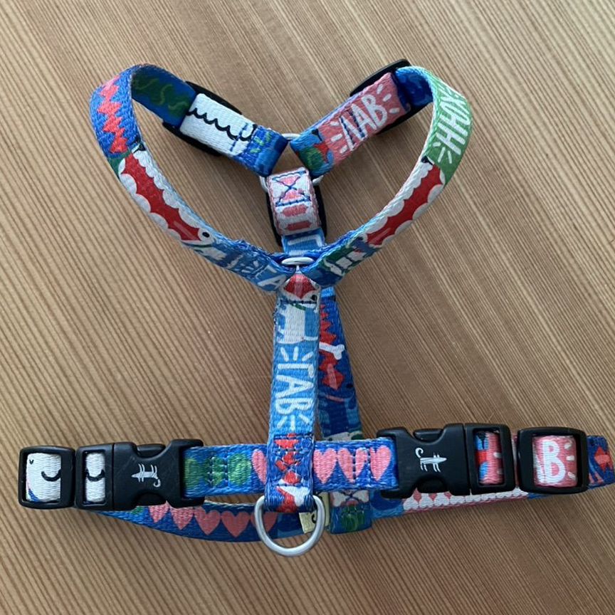 Шлейка шарик дог