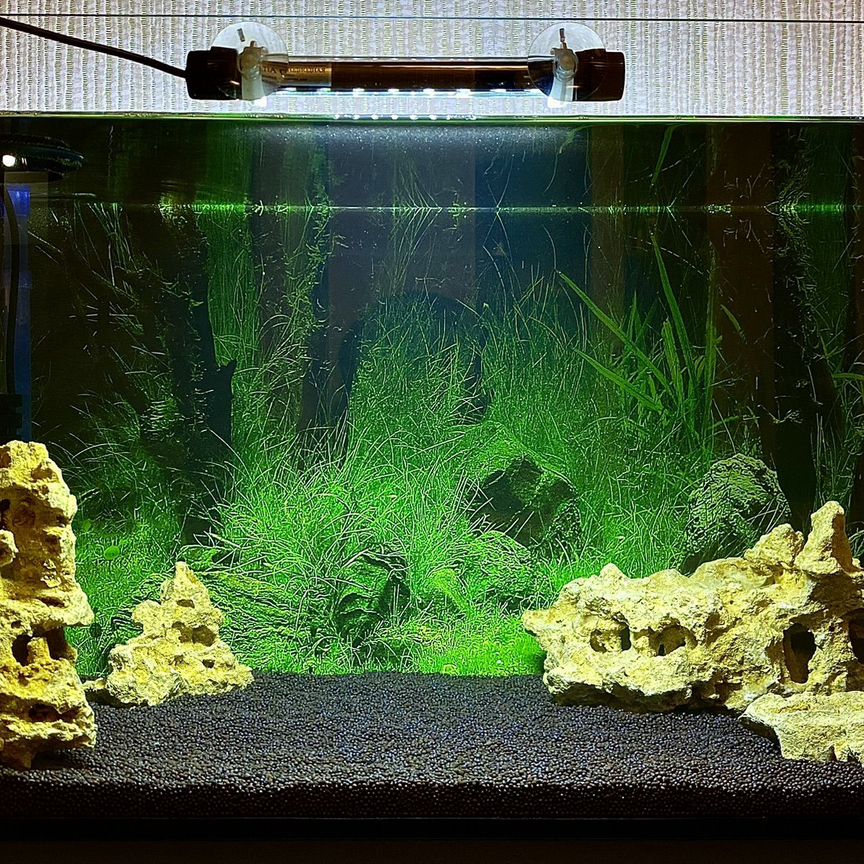 Аквариум в сборе