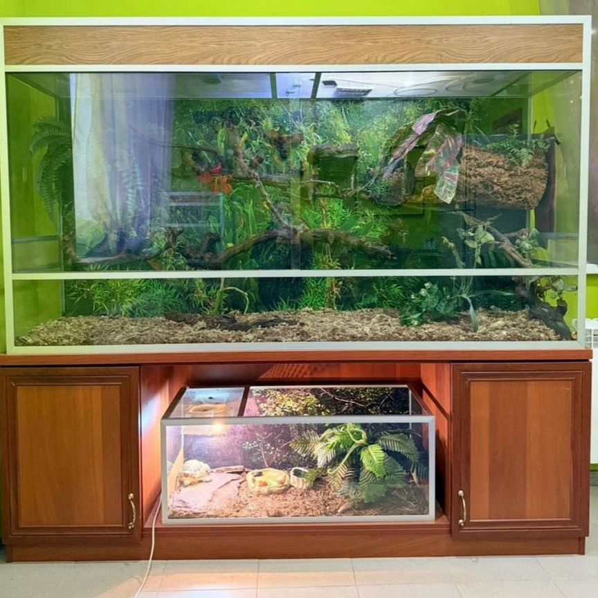 Большой террариум для экзотических животных