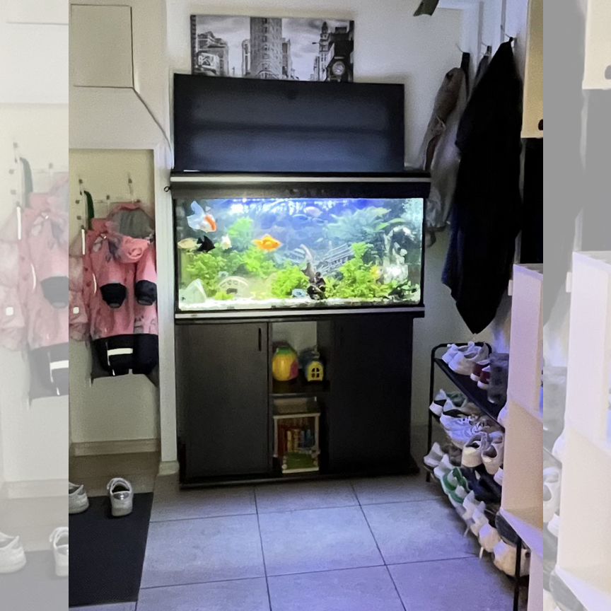 Аквариум 200 литров с тумбой и рыбками