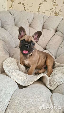 Позитивный мальчуган