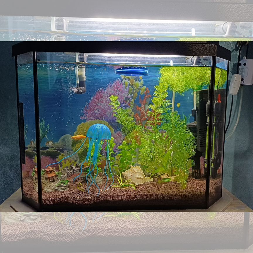 Аквариум и искусственные растения