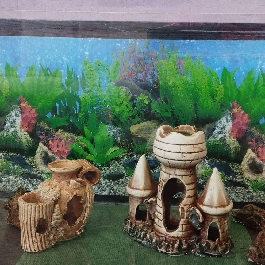 Аквариум