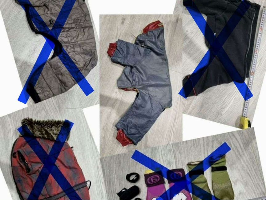 Куртка/дождевик для собак puppy angel, paradogs