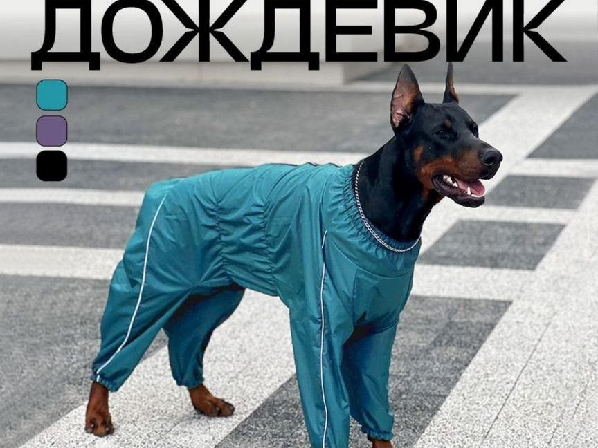 Дождевик для собак (для девочки)
