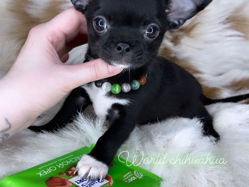 Мини Кукольный Мальчишка