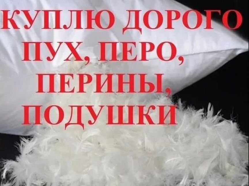 Гусиный утиный