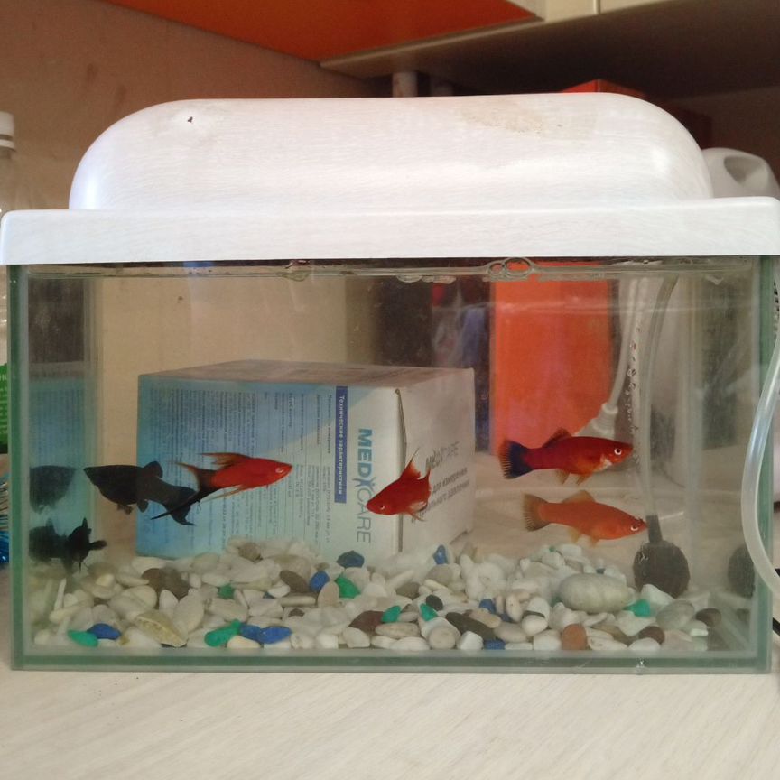 Аквариум 8 литров