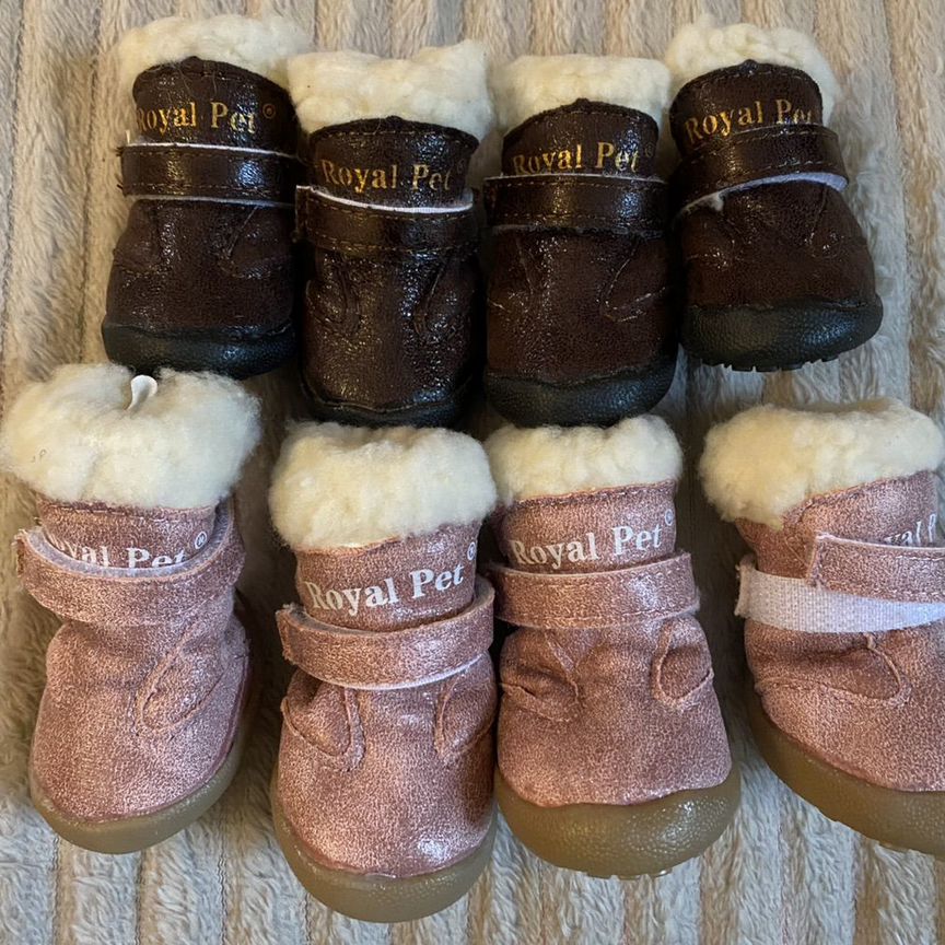 Зимняя обувь для мелких собак
