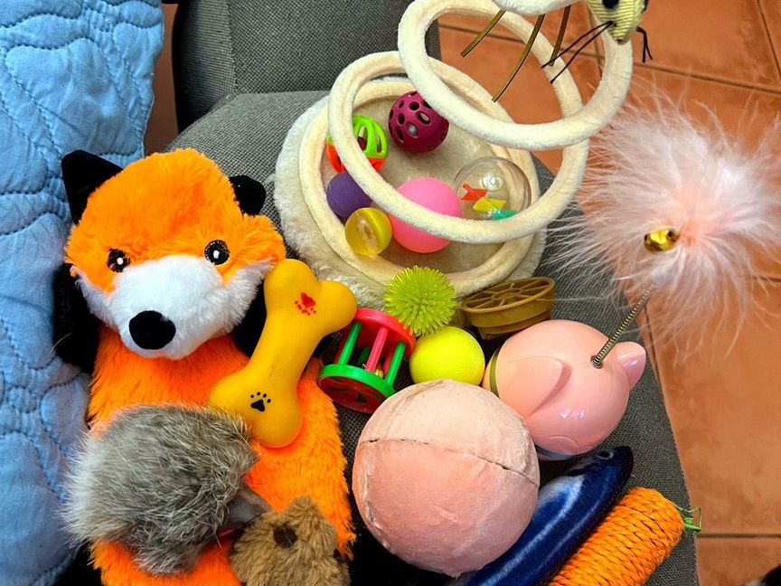 Игрушки для кошек и собак