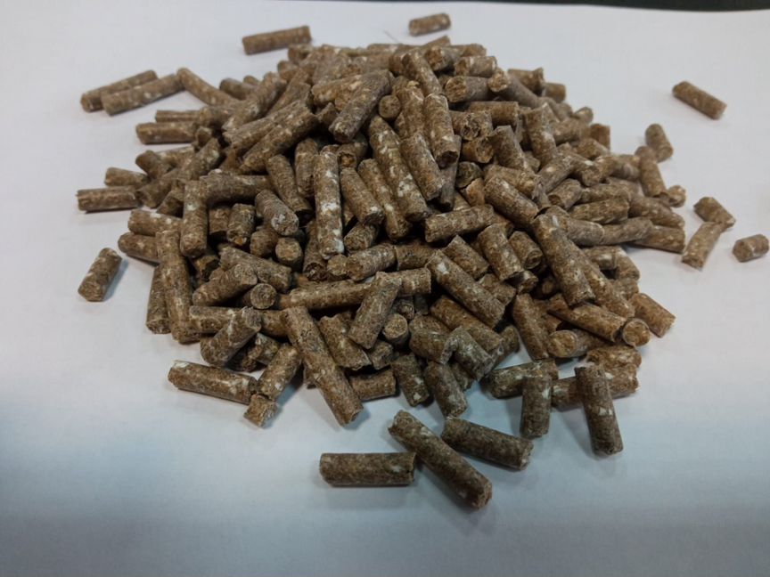 Отруби пшеничные оптом