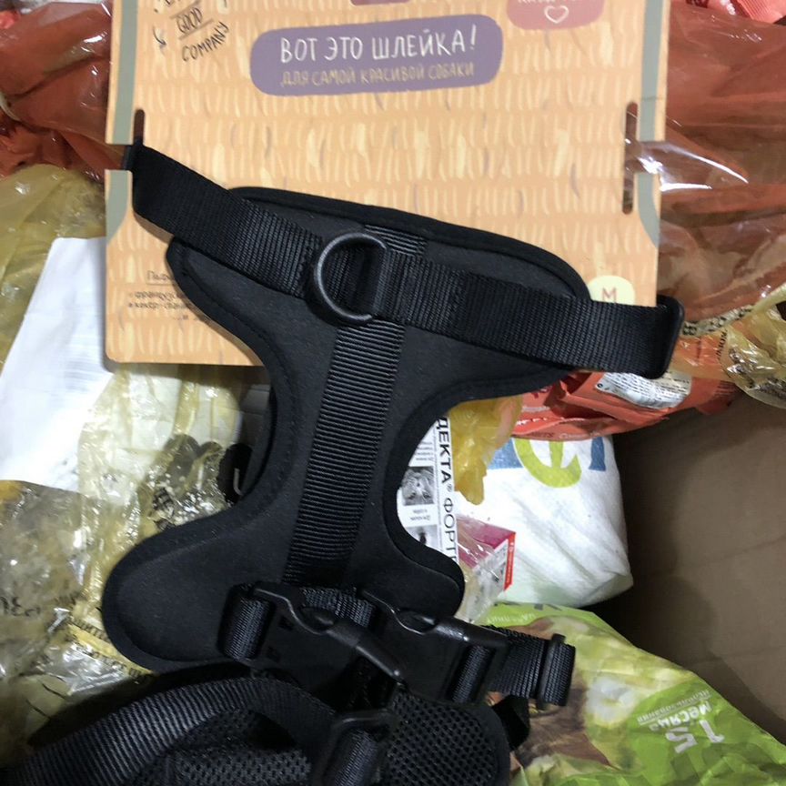 Анатомическая прогулочная шлейка