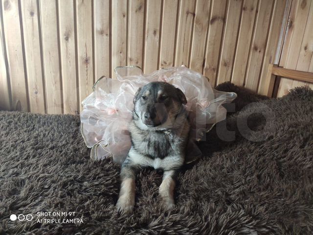 Агушенька в частный дом