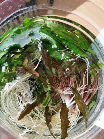 Продам прополку