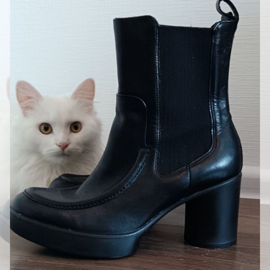 Сапоги женские ecco